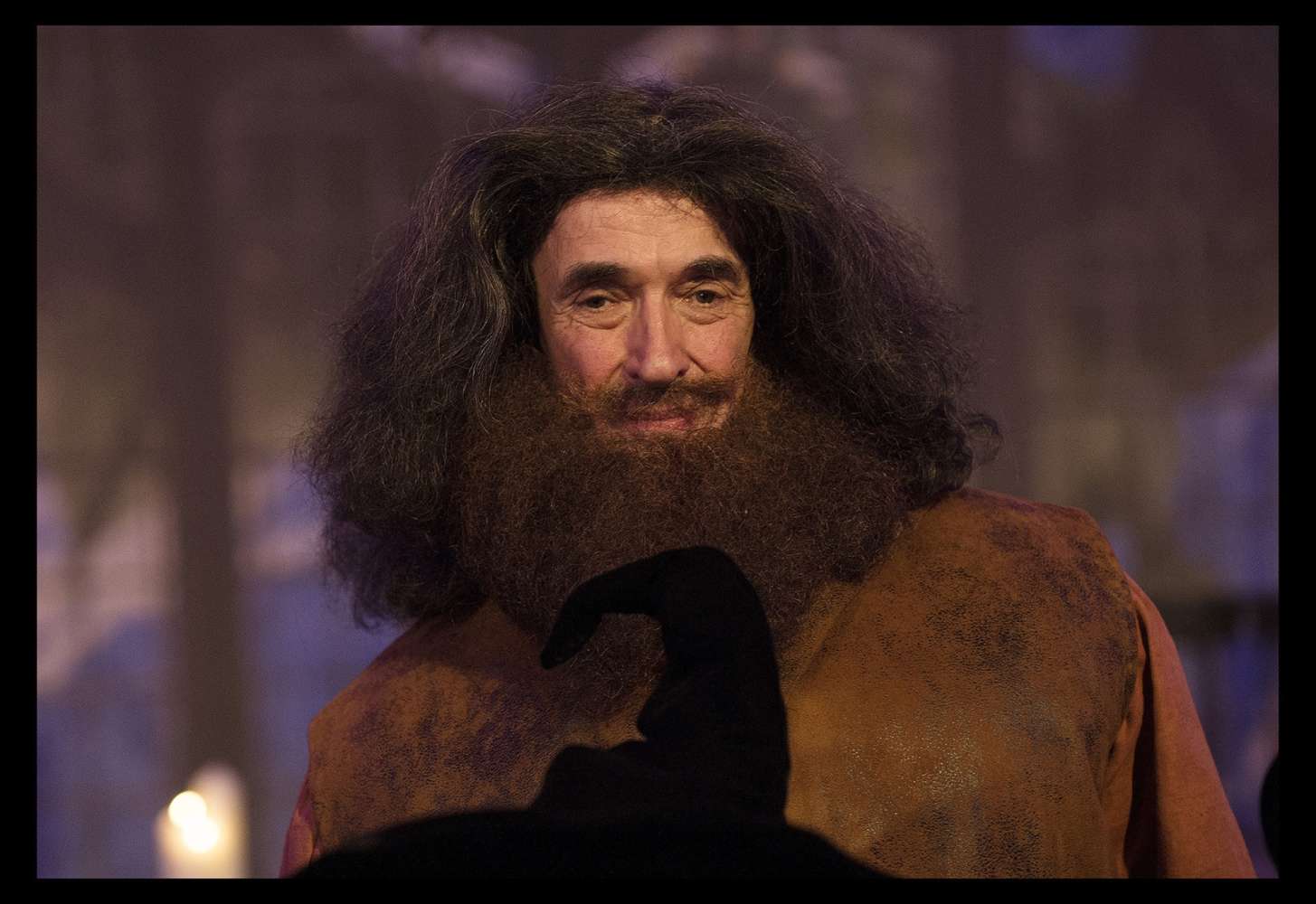 Hagrid from Harry Potter | Function Central | Lookalikes Norfolk ...