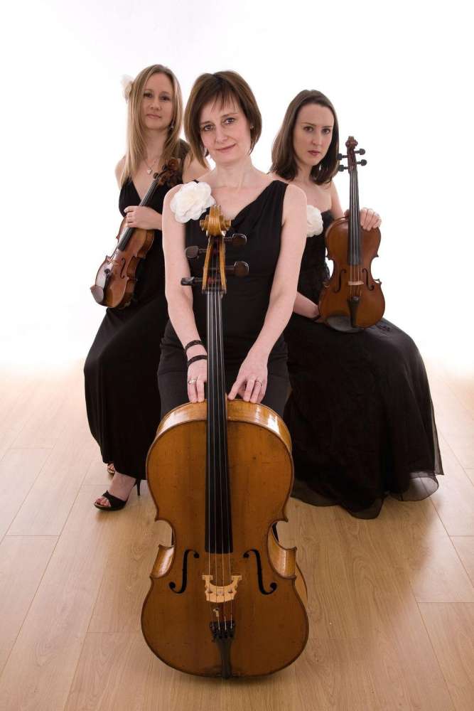 Sunshine Strings | Function Central | String Quartet London | Function ...