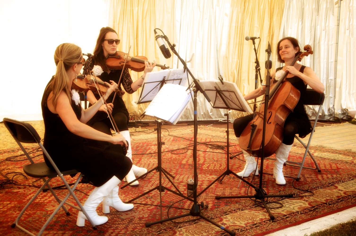 Sunshine Strings | Function Central | String Quartet London | Function ...