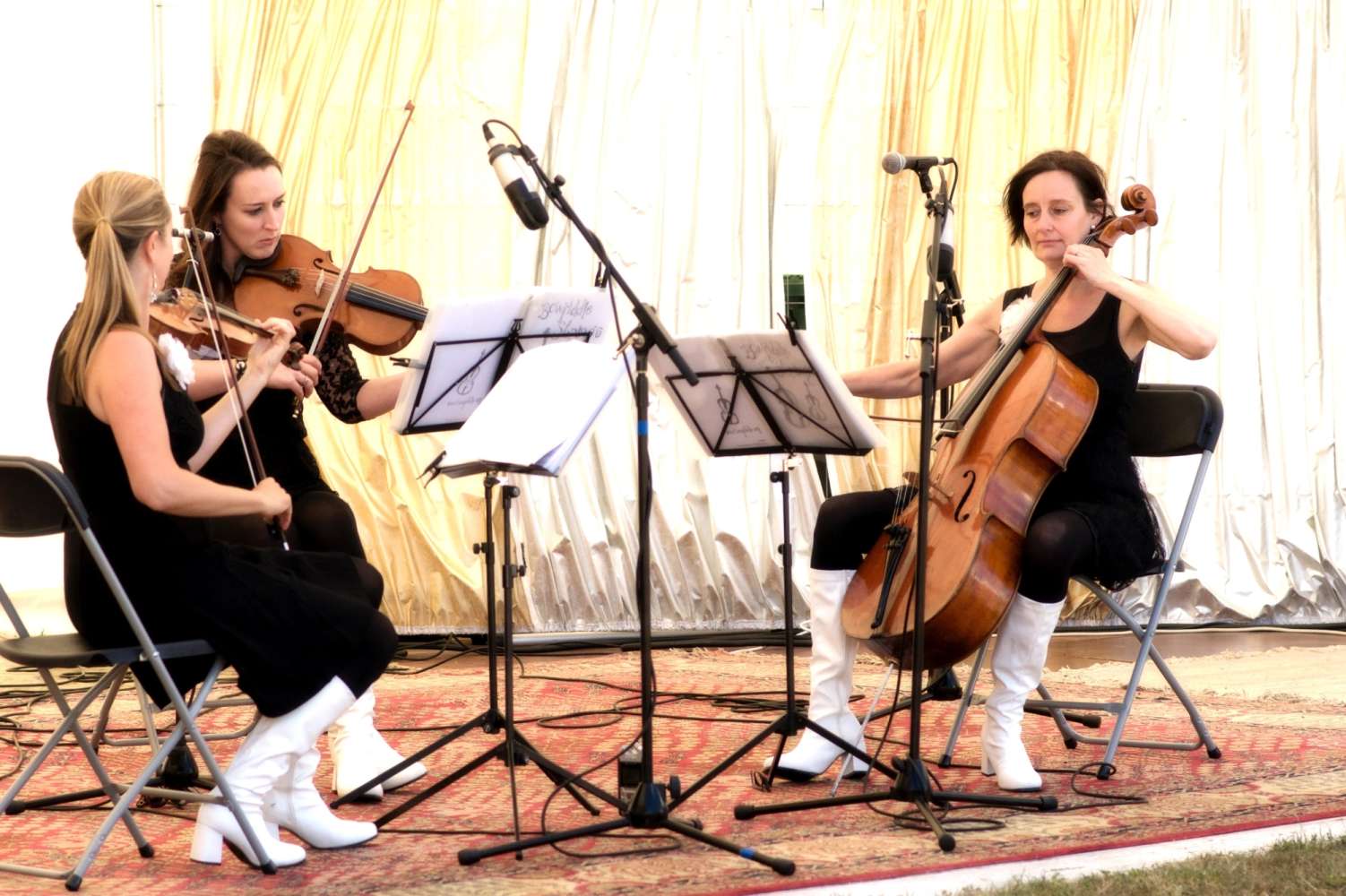 Sunshine Strings | Function Central | String Quartet London | Function ...